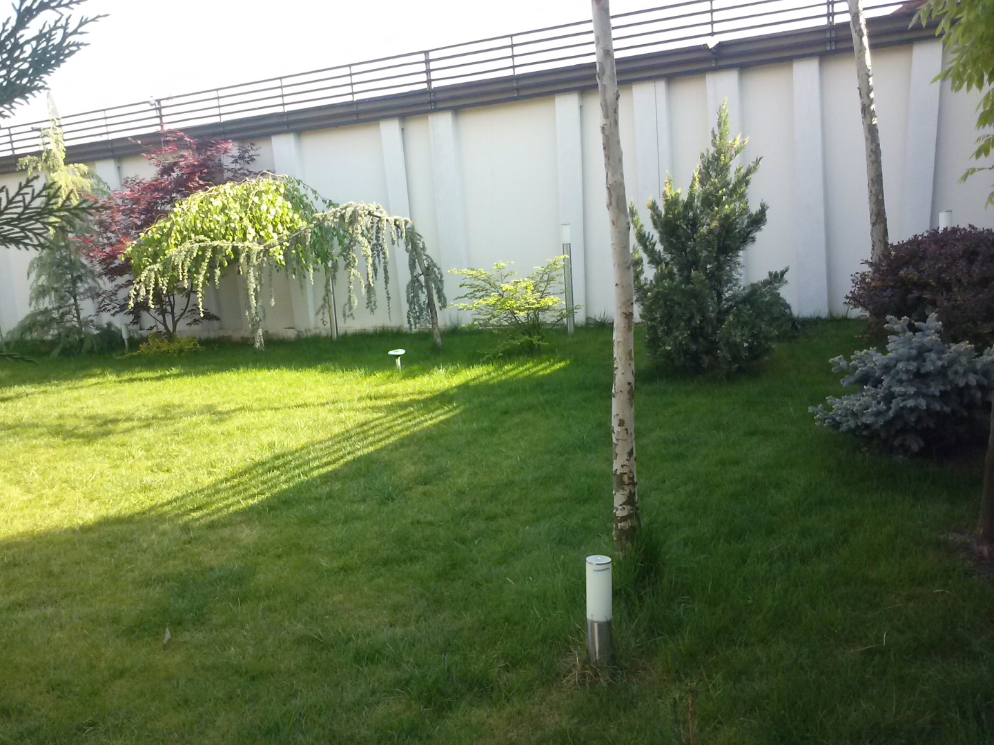 Proiectare spatii verzi | | Winland